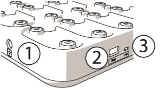 Se familiariser avec Polar Team Pro