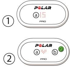 Aprenda a Conhecer o Polar Team Pro